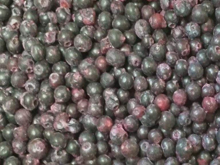 Merrill Blueberry Farms | Maine Wild Blueberries, Wholesale Blueberries ...
